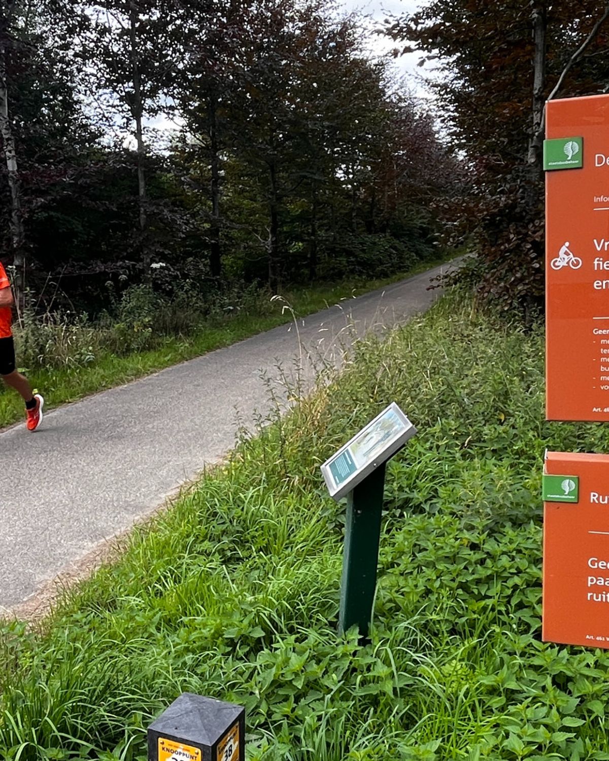 Paden in populair bos mogelijk vol giftig afval: 'Alarmerend' - Omroep West