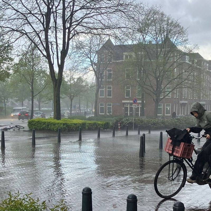 Het weer van vandaag: buien en vrij koud - Rijnmond