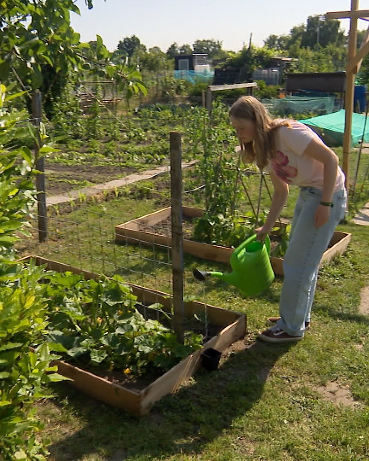 Hanna kreeg een moestuin voor haar examen: 'Mijn vriendin en broertje ...