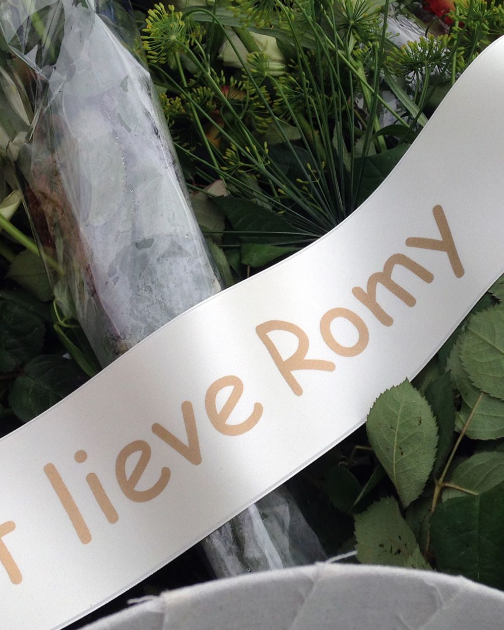 OM wil langere tbs voor Brian N. na moord op Romy (14) - RTV Utrecht