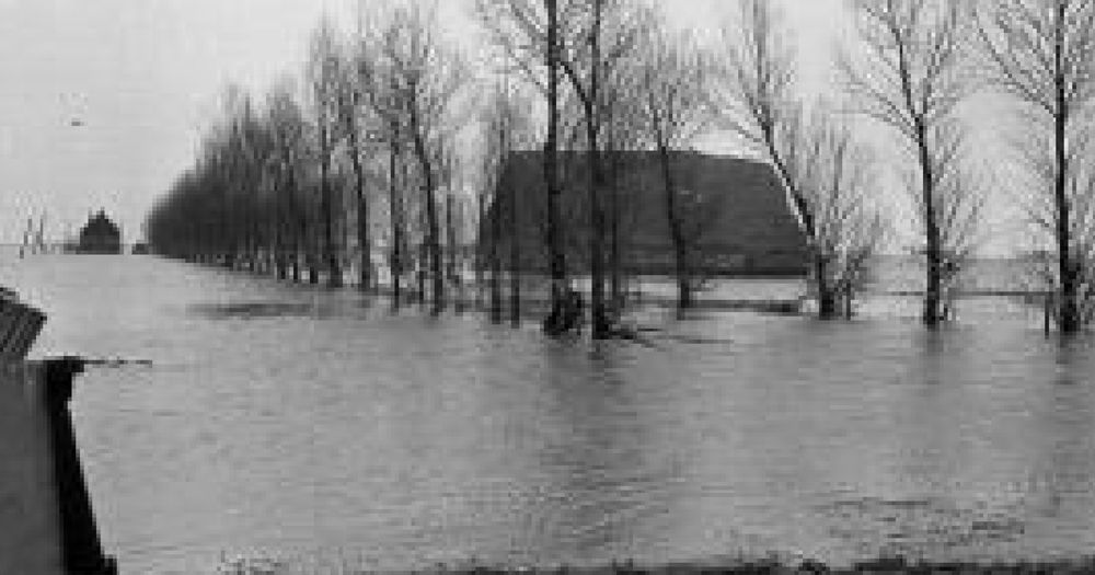 Springtij, wat is dat? - Rijnmond