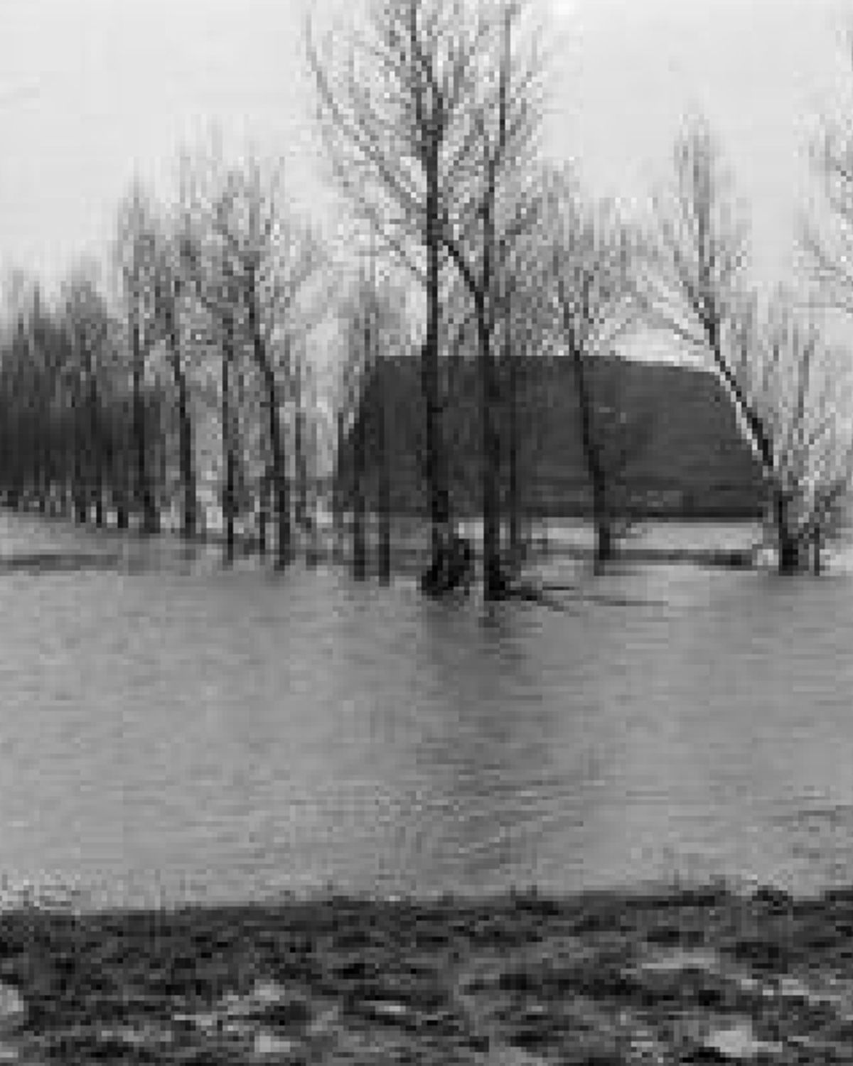 Springtij, wat is dat? - Rijnmond
