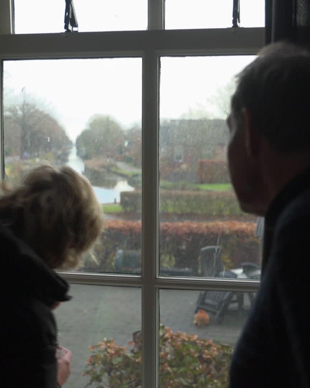 Serene wandeling langs roerige schimmen in Annerveenschekanaal - RTV ...