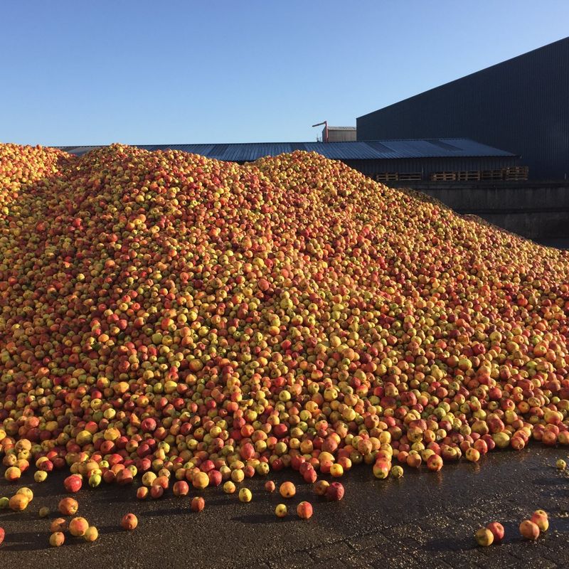 Stroopmakers in Limburg: 'Appels te kort voor de vraag naar stroop' - L1
