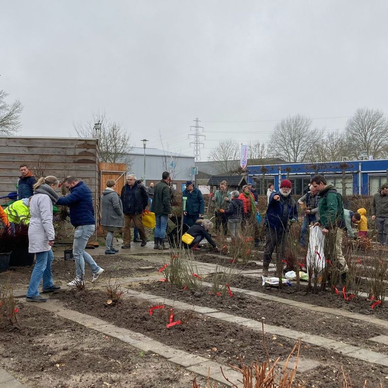 Stormloop op gratis boompjes en struiken - Omroep Gelderland
