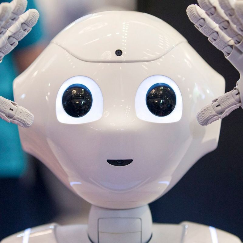 Stelling: Ik wil geen aangifte doen bij een robot - RTV Drenthe