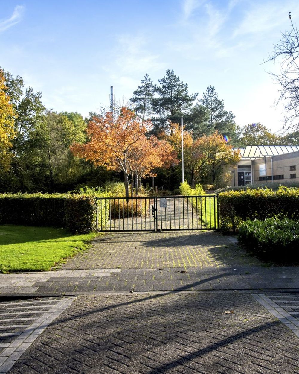 Zwembadmoord: 'Misschien heeft Jan Elzinga zijn eigen moord ...