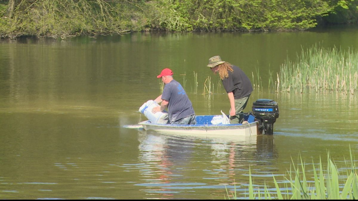 Vissers gaan met krijt het slib te lijf - Omroep Zeeland
