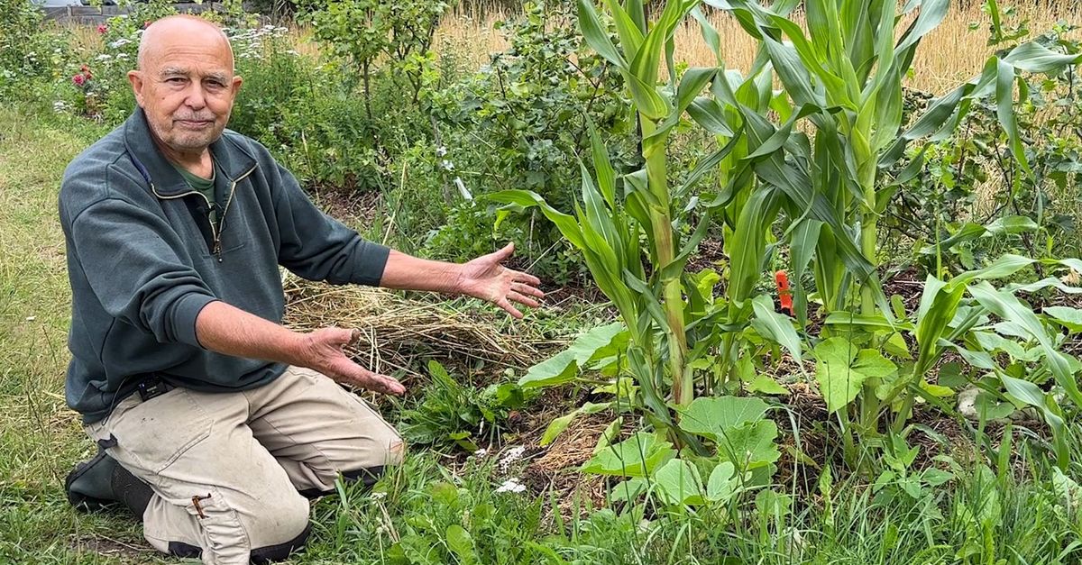 Zo maak je een groentetuin op een vierkante meter - Omroep Gelderland