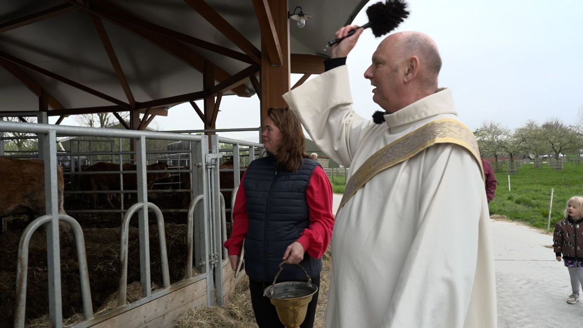 André zegent koeien: 'Gebeurt steeds meer onder nieuwe boeren' - Omroep ...
