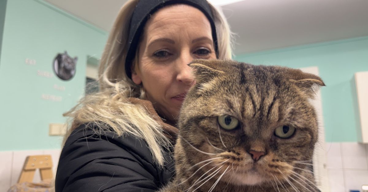 Katten in quarantaine en vogels achter hek: huisdiereigenaren en ...
