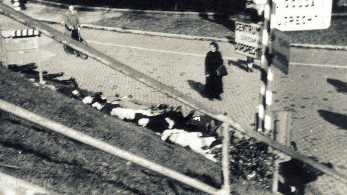 Verzetsheld Arie den Toom - Rijnmond