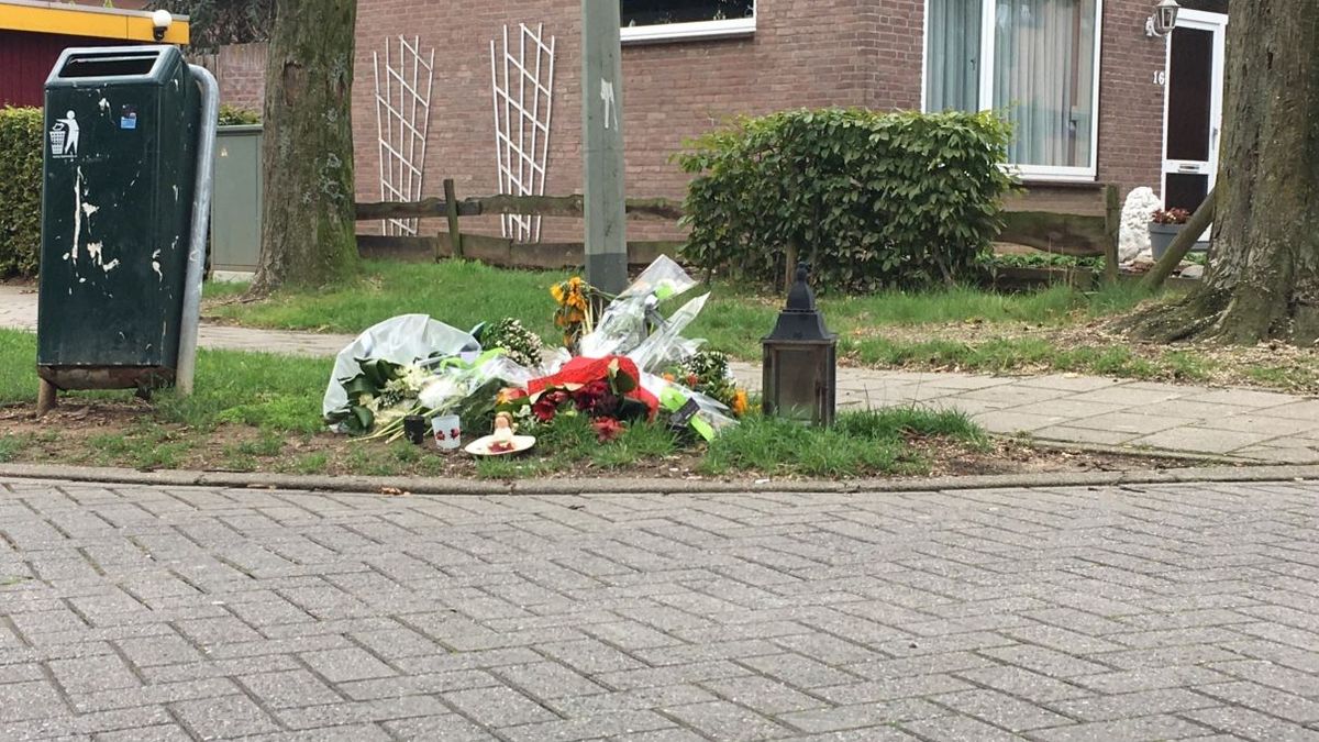 'Na vechtpartij overleden Willem Evers was kerngezond' - L1 Nieuws
