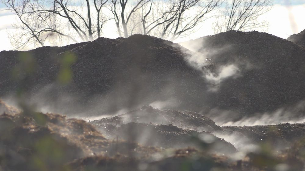 Bewonerscomité: "Overtredingen IceBear Steenwijk vijf keer erger dan gemeten" - Oost