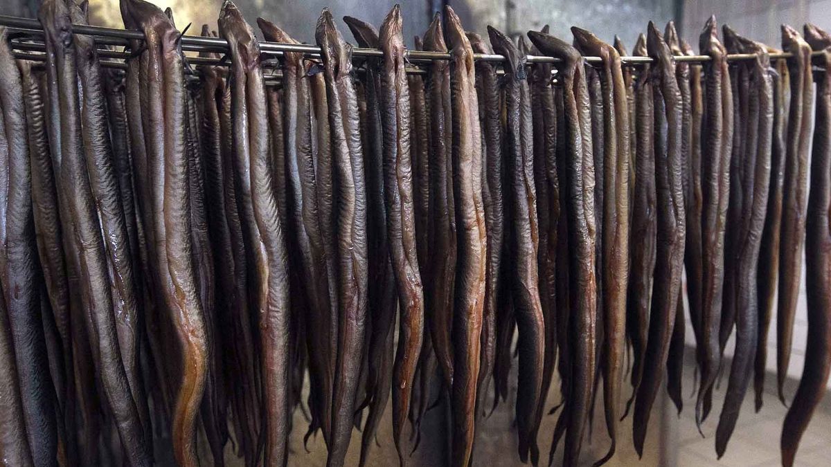 Een bootje, 25 fuiken en tien kilo bevroren paling - RTV Noord