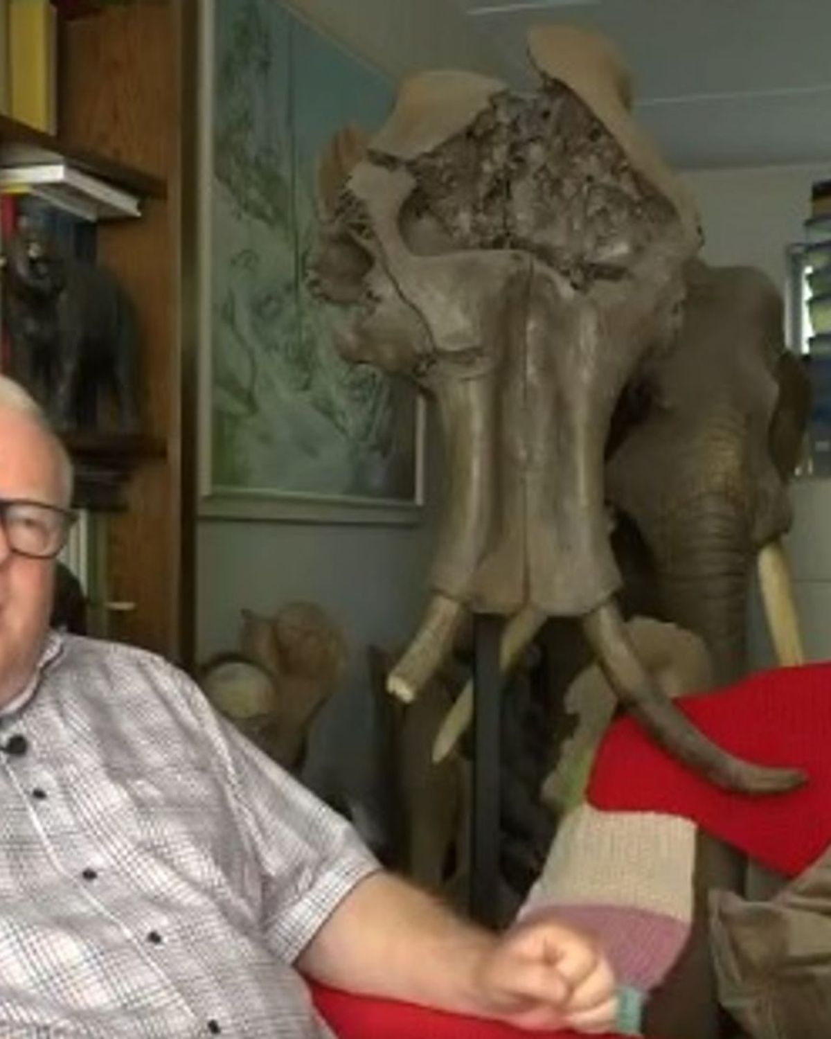 Paleontoloog schenkt duizenden botten aan museum in Hellevoetsluis ...