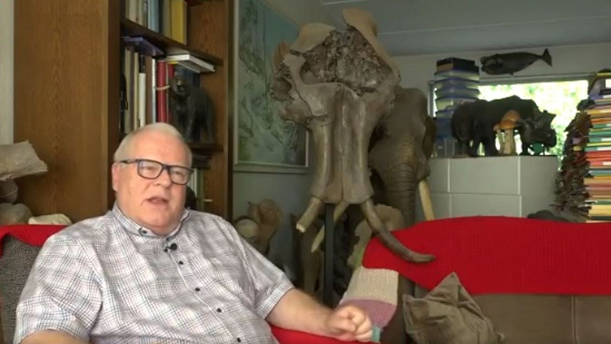 Paleontoloog schenkt duizenden botten aan museum in Hellevoetsluis ...