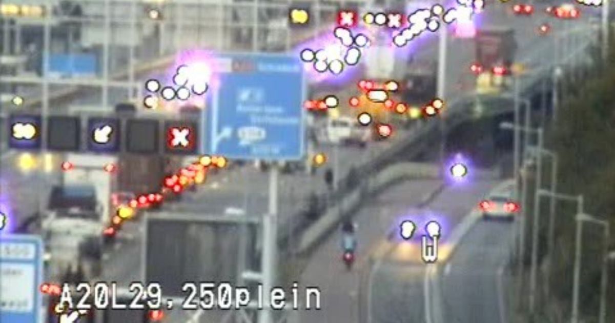 Korte tijd flinke vertraging op snelweg na ongeval - Rijnmond