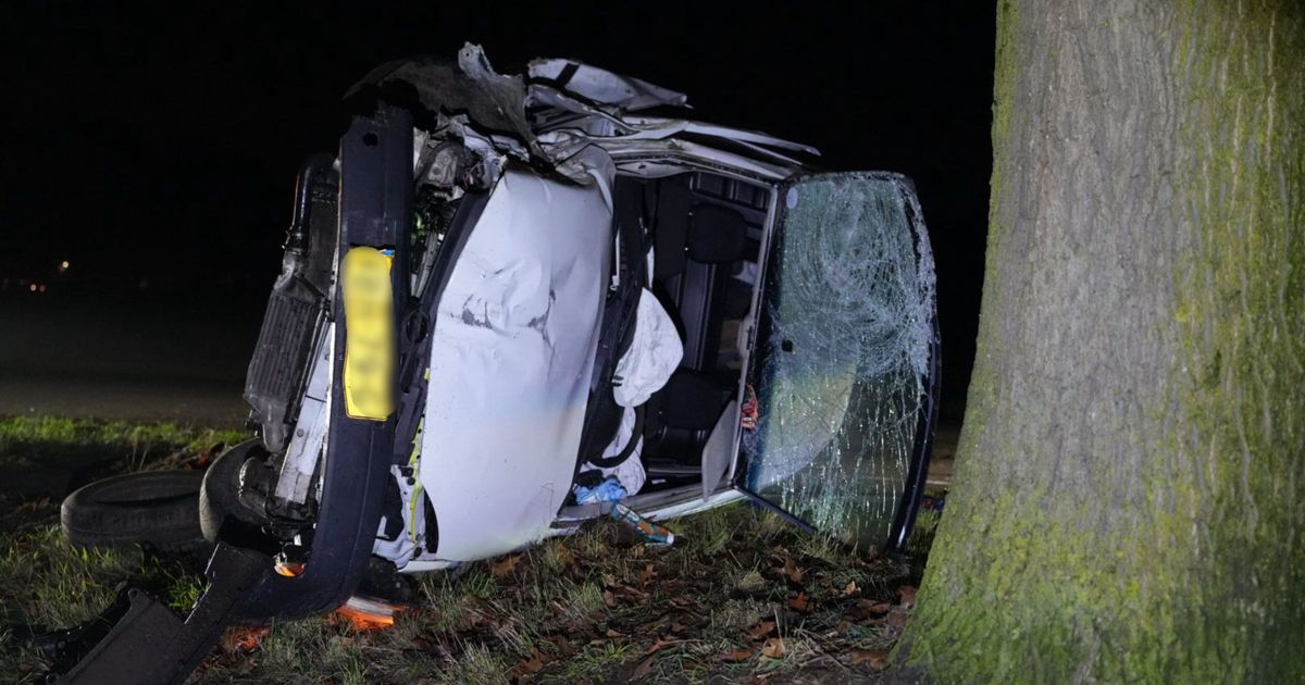 Busje botst op boom, bestuurder mee met politie - L1 Nieuws