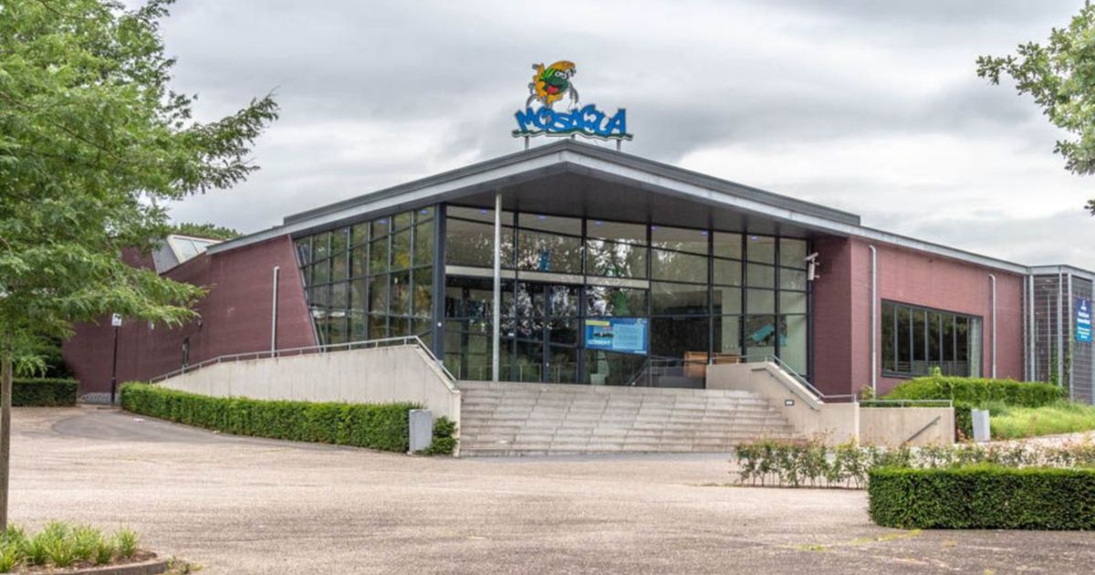 Unaniem groen licht voor doorstart Mosaqua: eind maart definitieve ... Unaniem groen licht voor doorstart Mosaqua: eind maart definitieve ...
