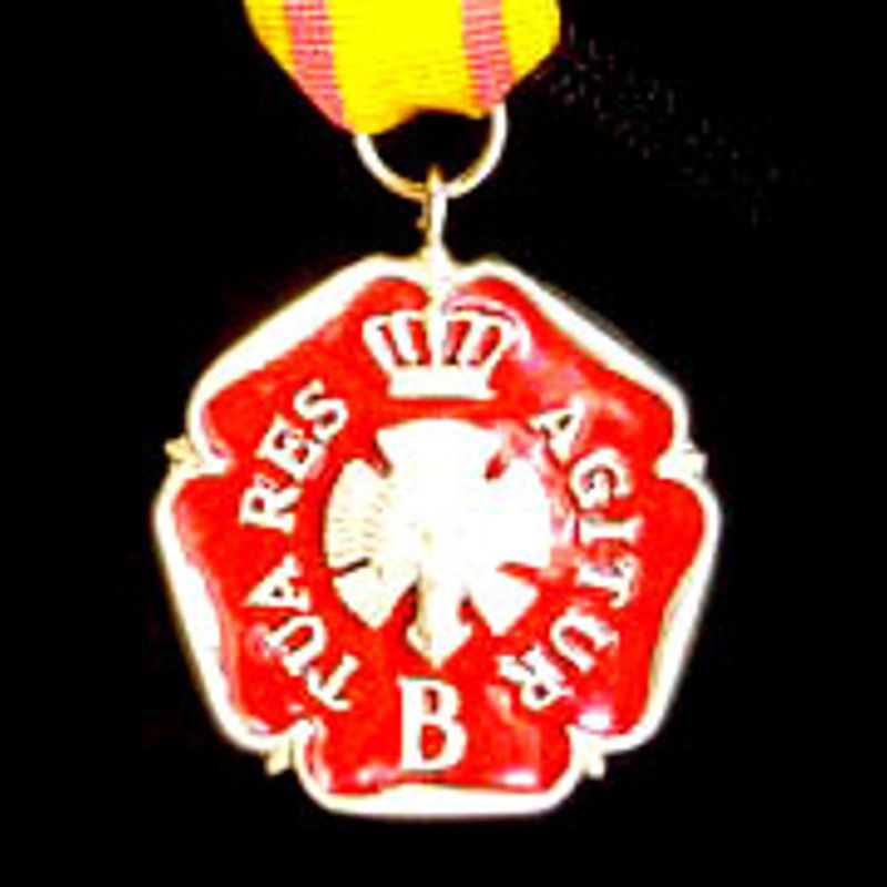 Zilveren Anjer voor Schiedams echtpaar - Rijnmond