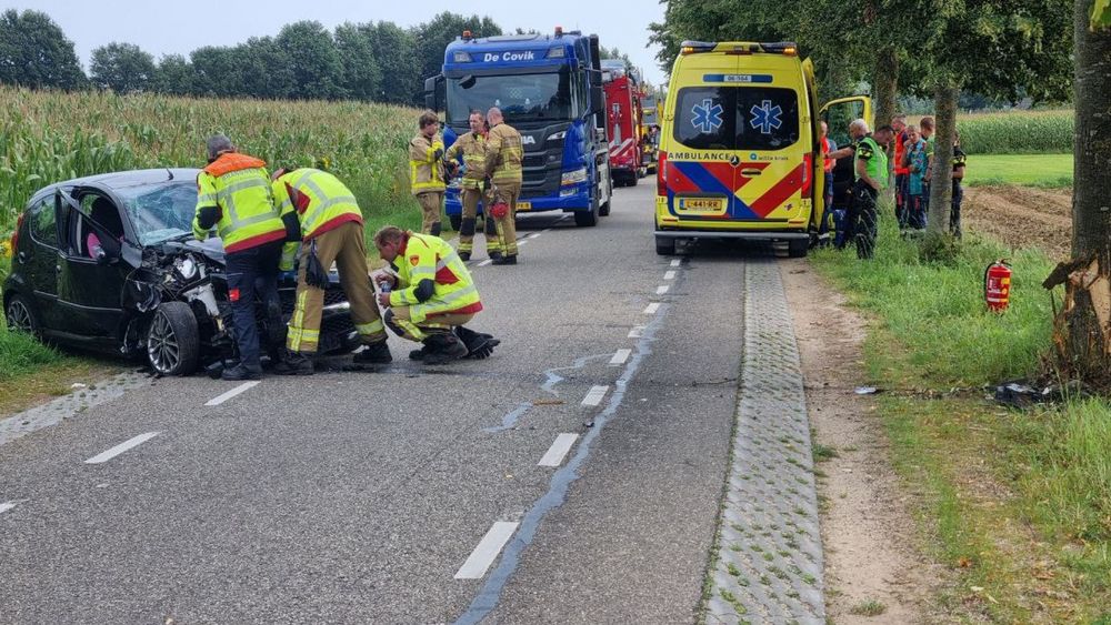 Automobiliste overleden door botsing tegen boom - Omroep Gelderland