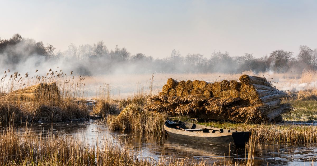 Opluchting bij Nationale Parken na terugdraaien miljoenenbezuiniging - Oost