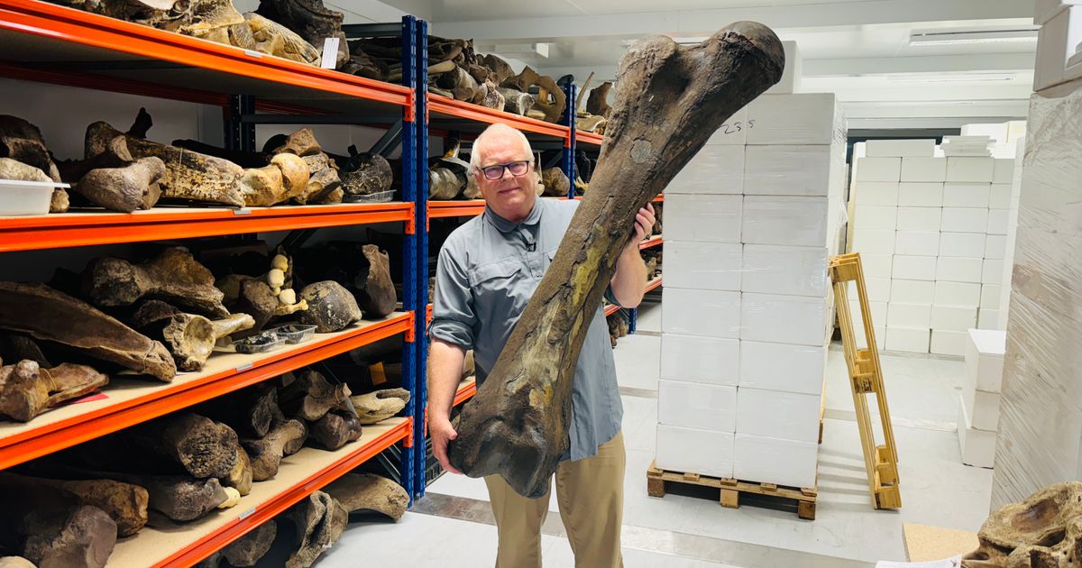 Dick verzamelde 50.000 fossielen en botten in zijn rijtjeshuis, maar geeft ze nu aan museum ...
