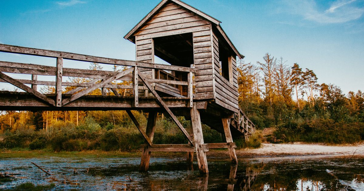 'Bloedplas' bij De Oldemeijer: Bertina vindt er rust en unieke foto’s ...
