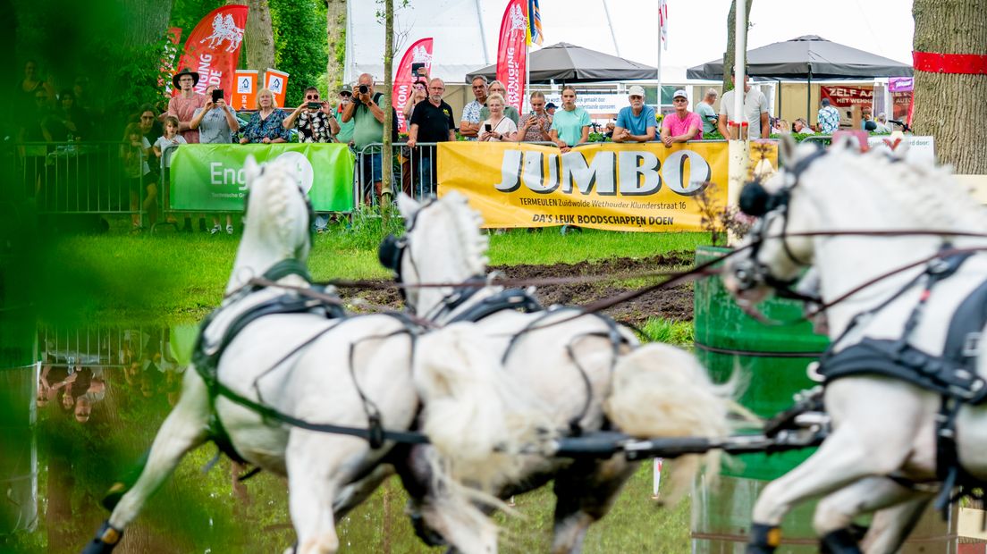 In Beeld: paarden vliegen over parcours bij menwedstrijd Zuidwolde ...