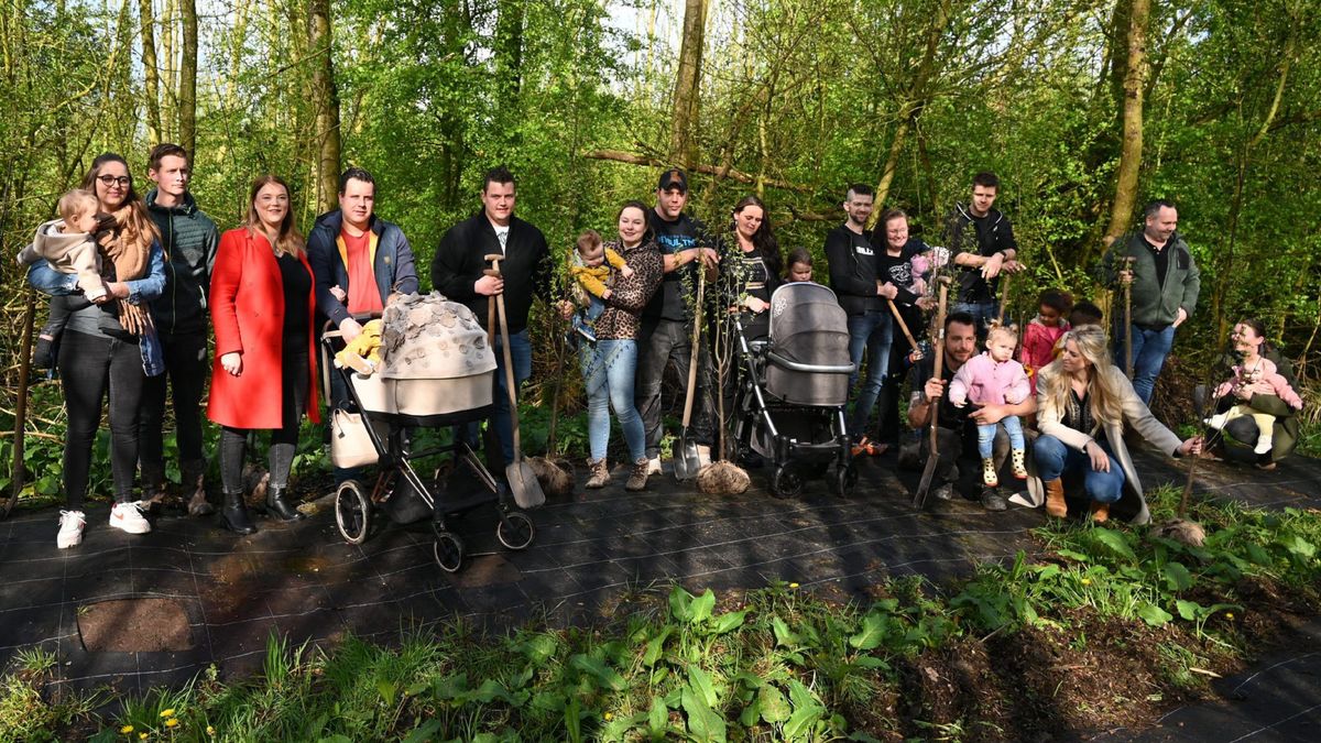 VIDEO: 'Geboortebos' Westergeest doet de Friese Wouden eer aan - Omrop ...