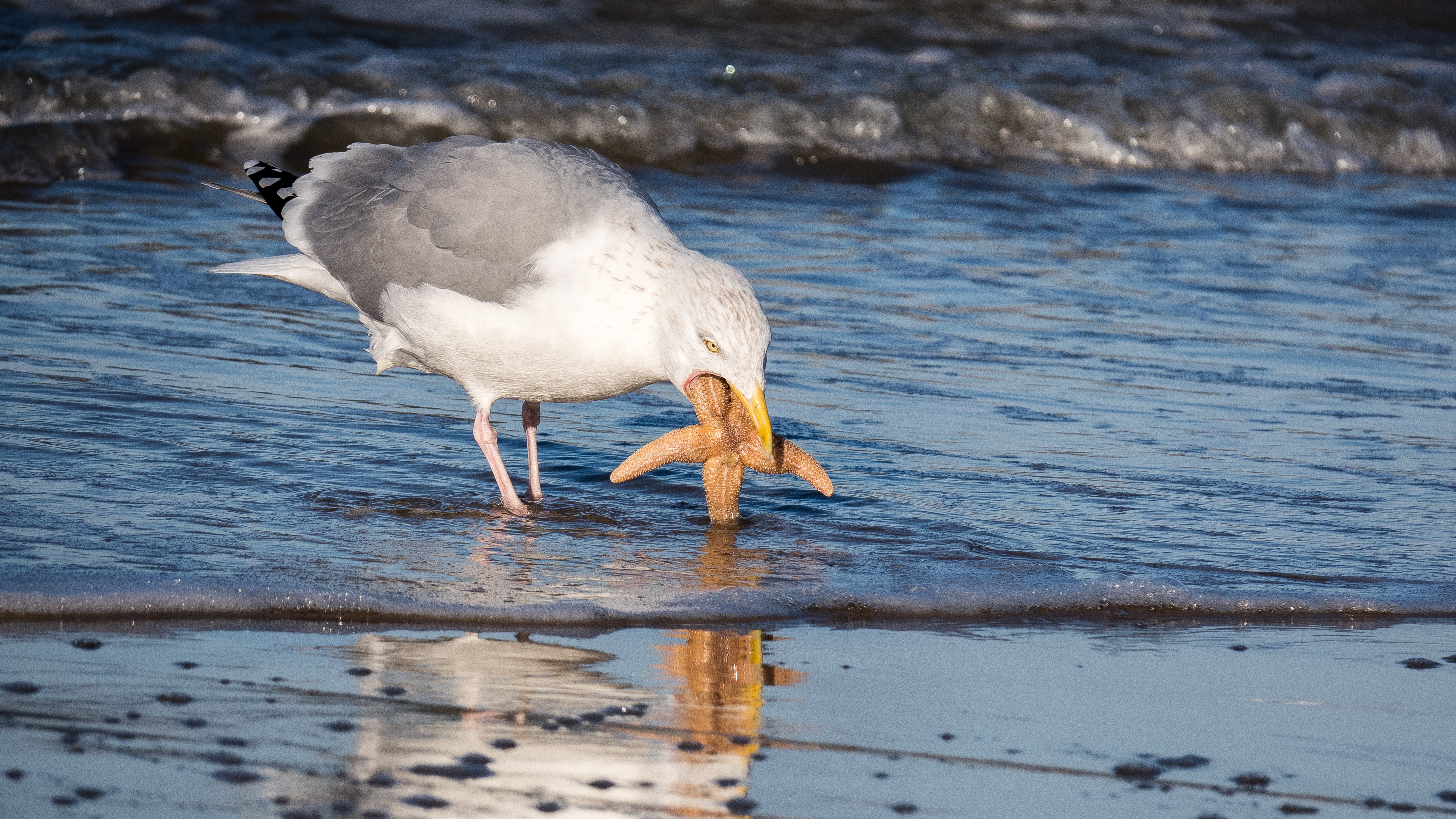 IN BEELD: Mooiste weerfoto's van januari - Omroep West