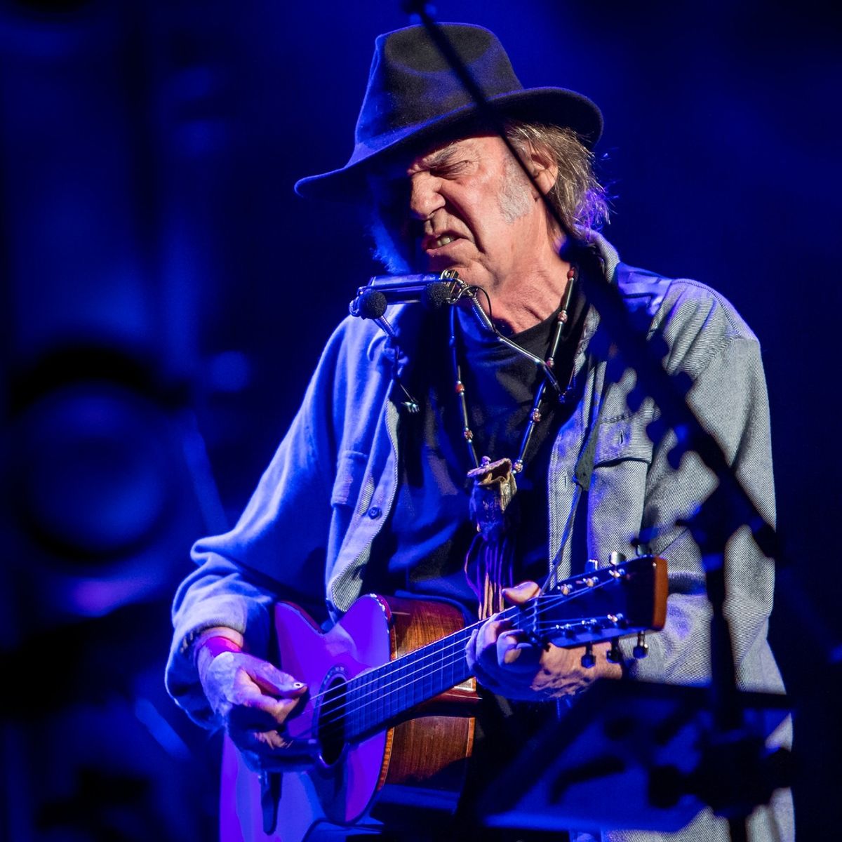 Neil Young-fans uitzinnig over mogelijke komst Rock-'n-Roll-legende naar Stad: 'Die kans moet je ...