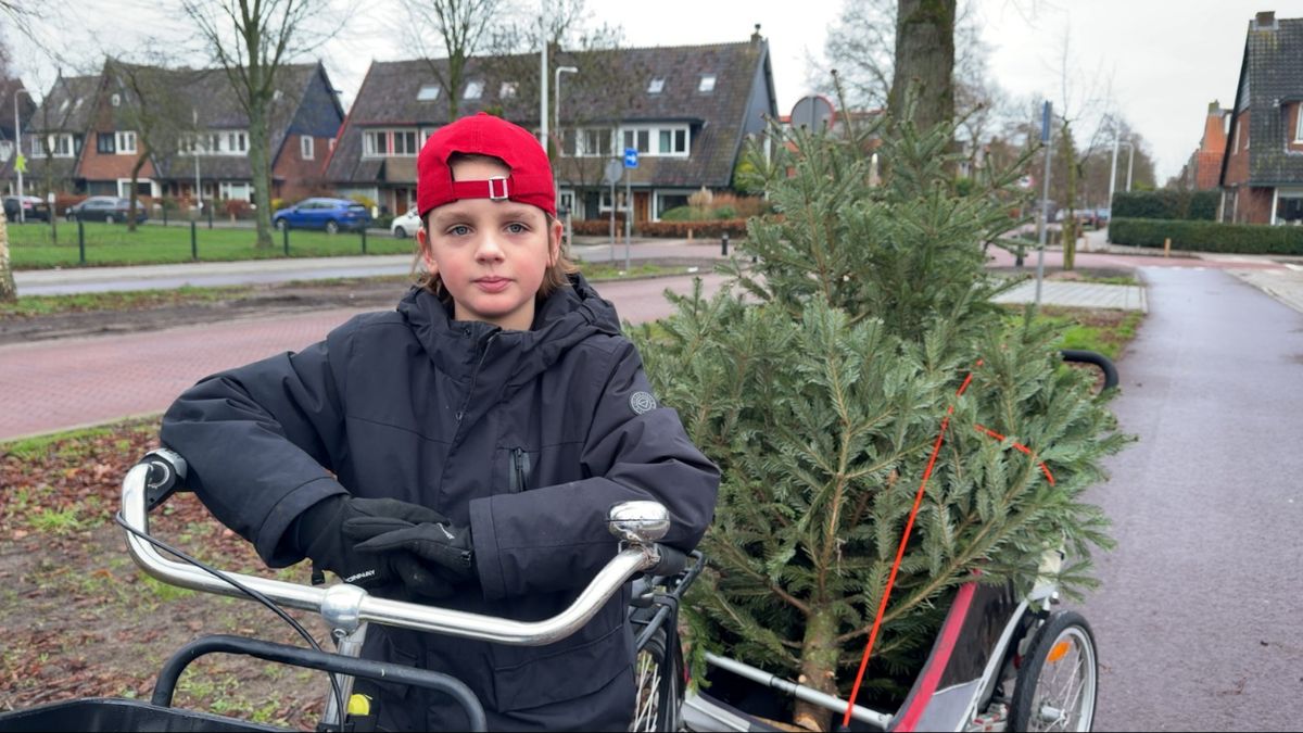 Stef (12) haalt kerstbomen op voor het goede doel, maar heeft thuis een ...
