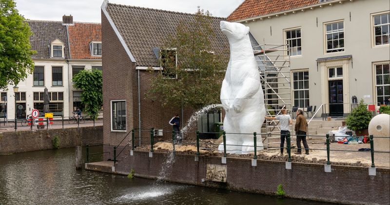 'Pissende ijsbeer' komt naar Groningen - RTV Noord