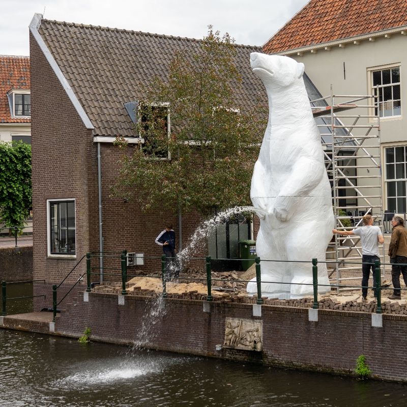 'Pissende ijsbeer' komt naar Groningen - RTV Noord