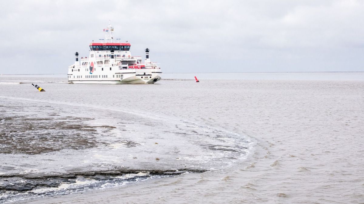 Wagenborg: Extreme vertraging en schade aan veerboten door ondiepe ...