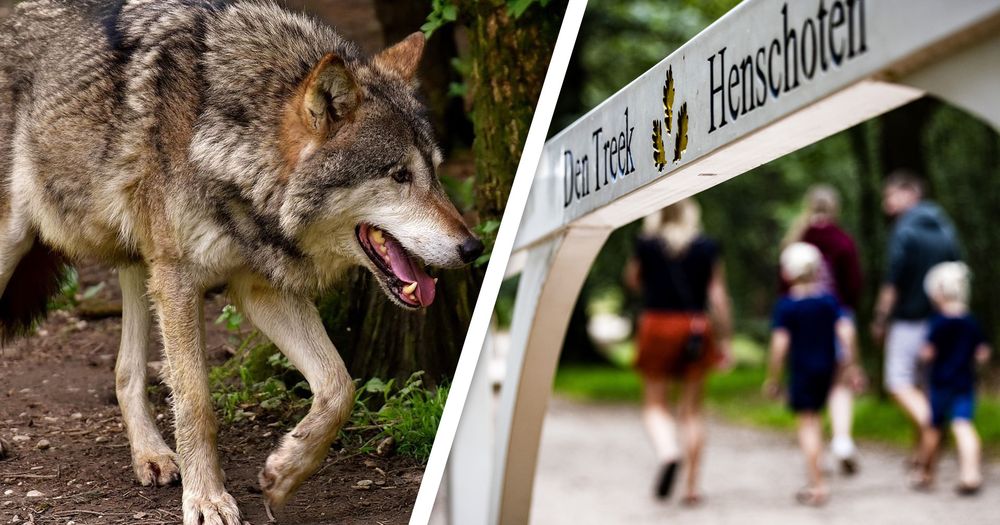 Ondernemers wachten nog op compensatie: 'Als het bos weer dicht moet ...