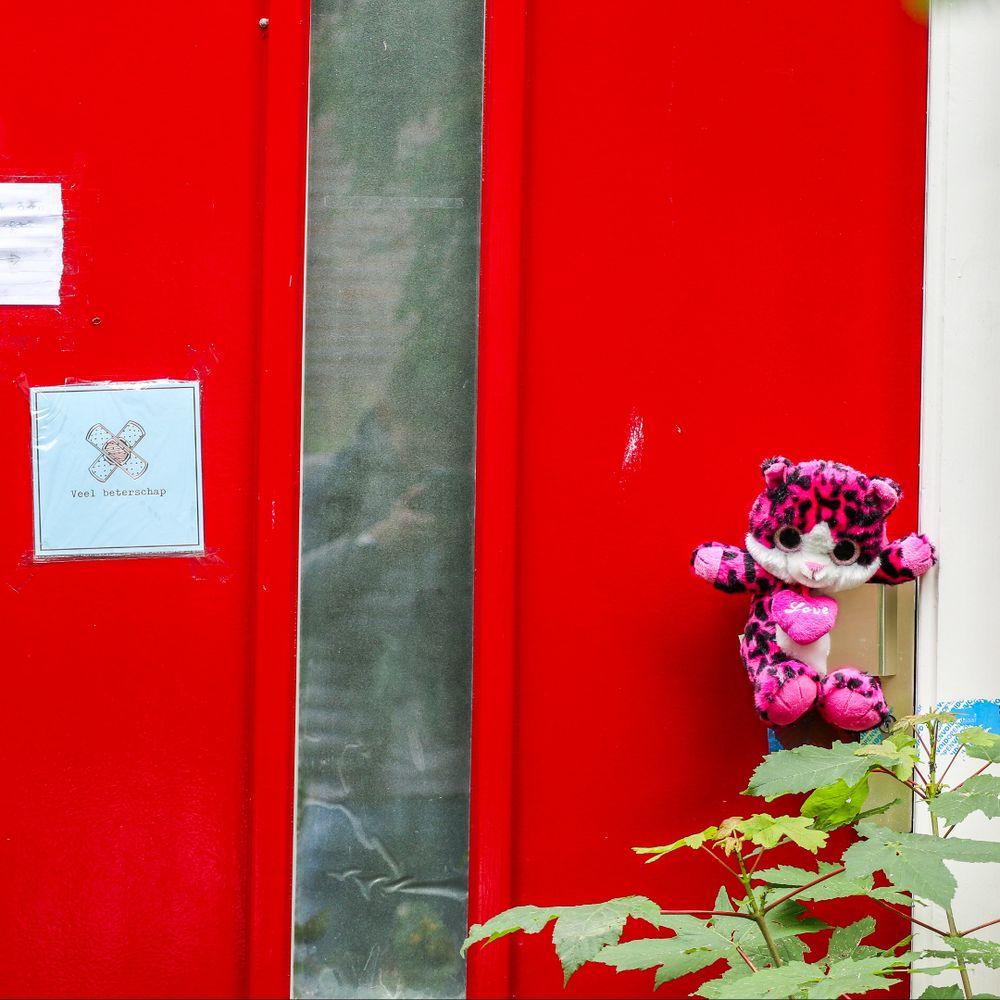 Vlaardings pleegmeisje: verdachten laten opnieuw verstek gaan - Rijnmond