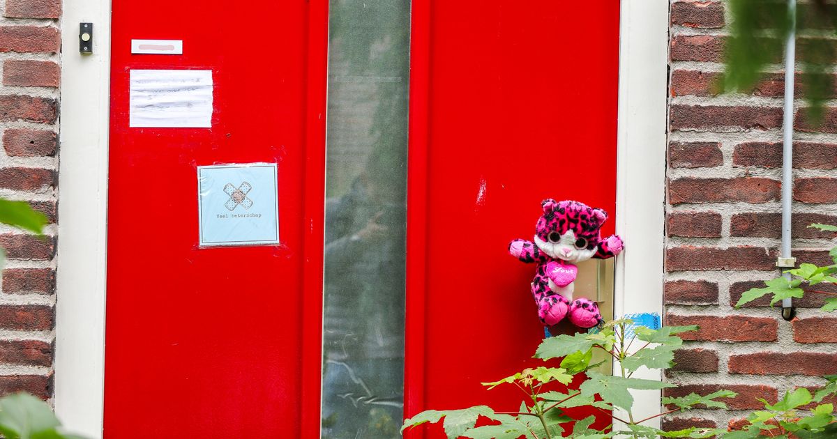 Vlaardings pleegmeisje: verdachten laten opnieuw verstek gaan - Rijnmond