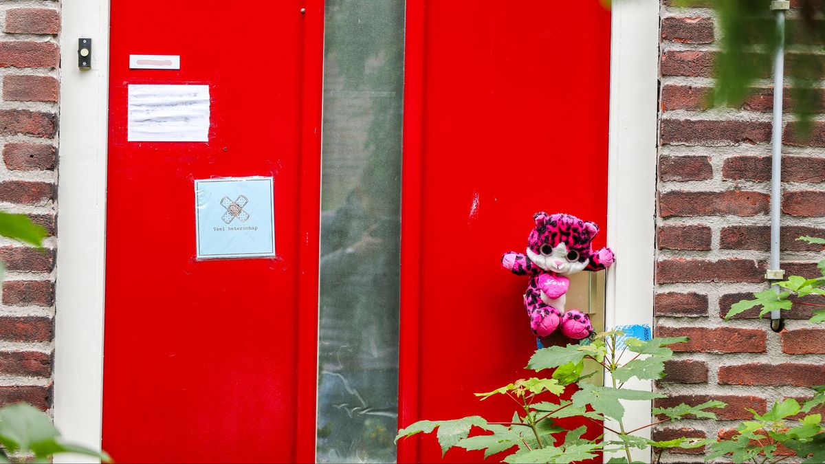 Vlaardings pleegmeisje: verdachten laten opnieuw verstek gaan - Rijnmond