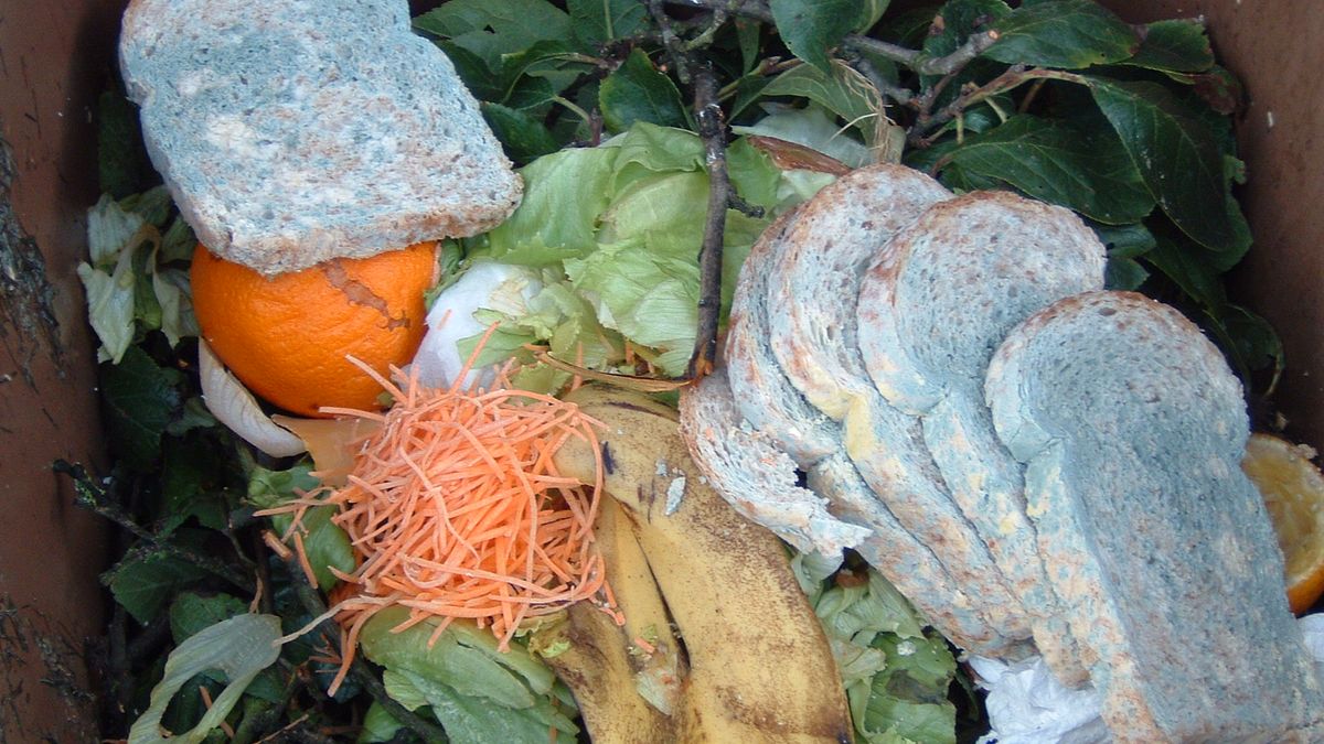 Biobak keert terug in Rotterdam - Rijnmond