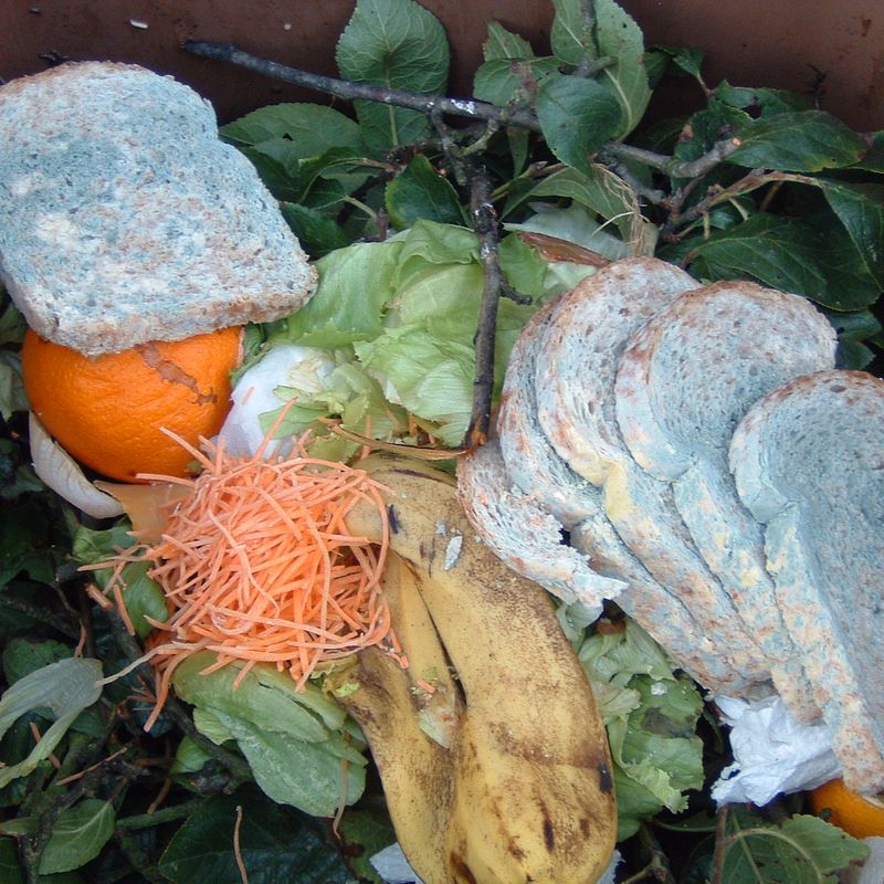 Biobak keert terug in Rotterdam - Rijnmond