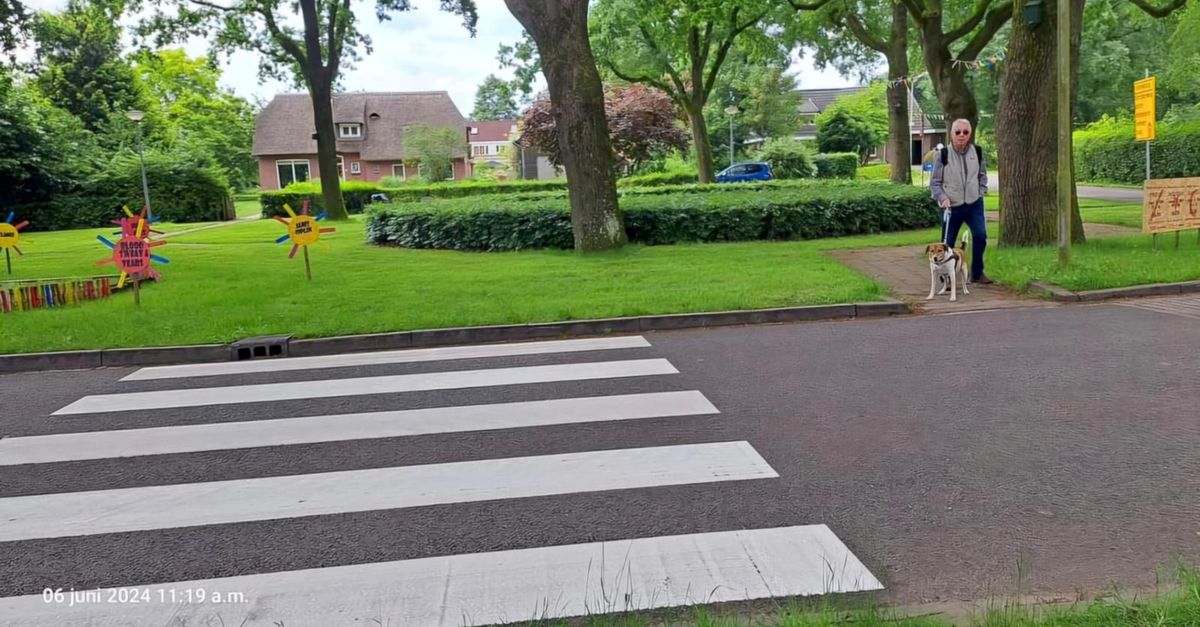 Blunder met belijning? Zebrapad in Hooghalen leidt naar grasveld - RTV Drenthe