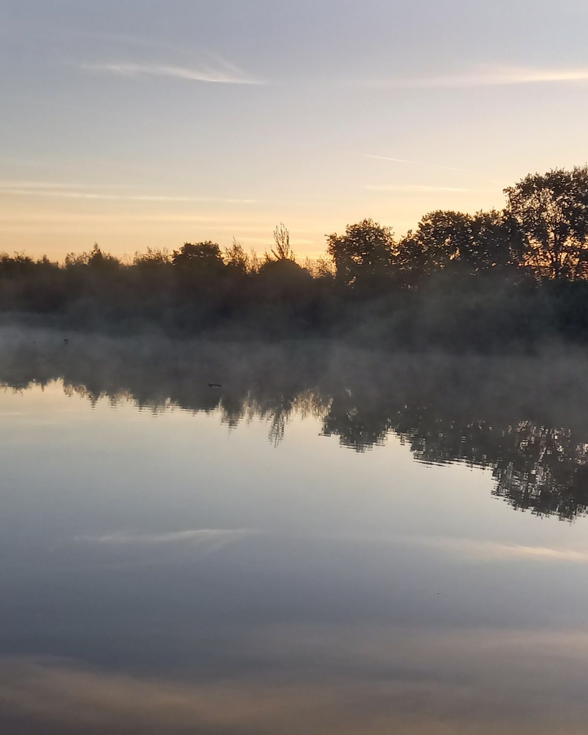 Nationaal Park De Groote Peel krijgt nieuwe naam die beter de lading ...