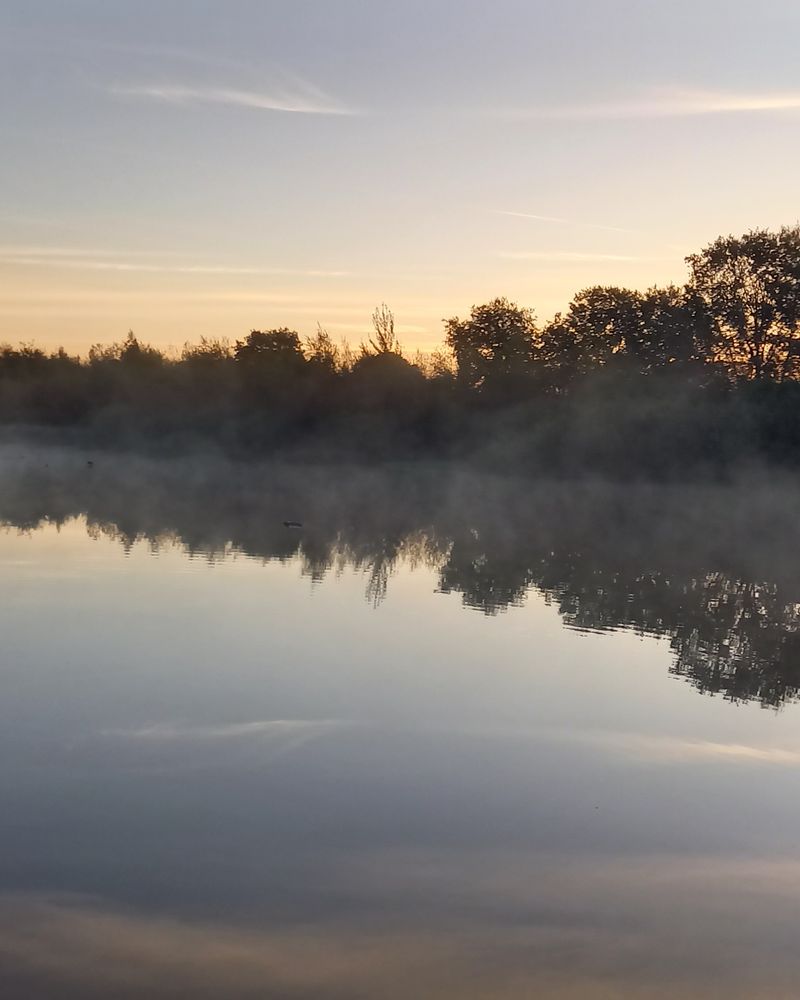 Nationaal Park De Groote Peel krijgt nieuwe naam die beter de lading ...