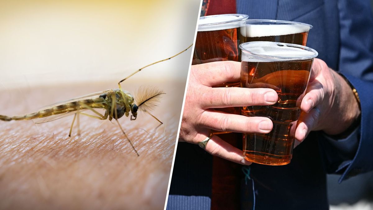 Alcohol en een recente douche: dit maakt jou extra aantrekkelijk voor ...