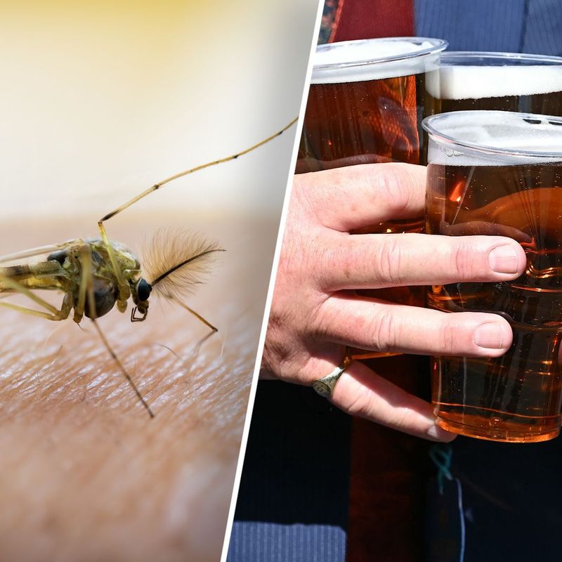 Alcohol en een recente douche: dit maakt jou extra aantrekkelijk voor ...