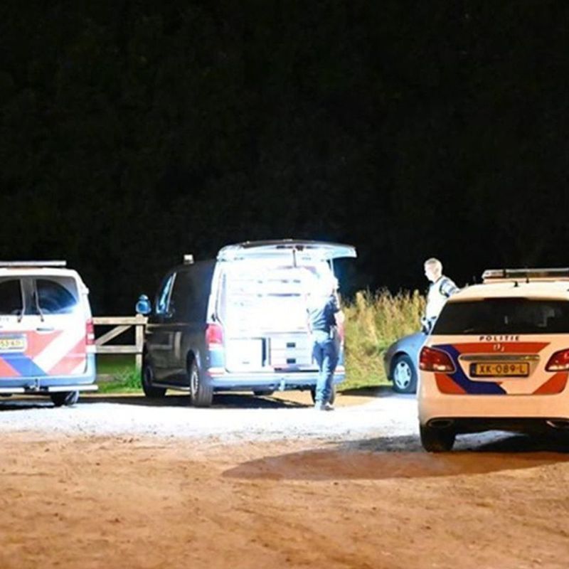 Twaalf jaar cel en tbs voor Almelose Parkmoord - Oost