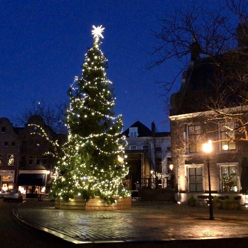 Schiedam licht op tijdens feestelijk weekend - Rijnmond